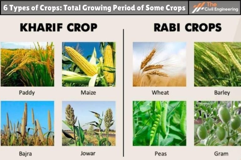 6 Types of Crops: Total Growing Period of Some Crops