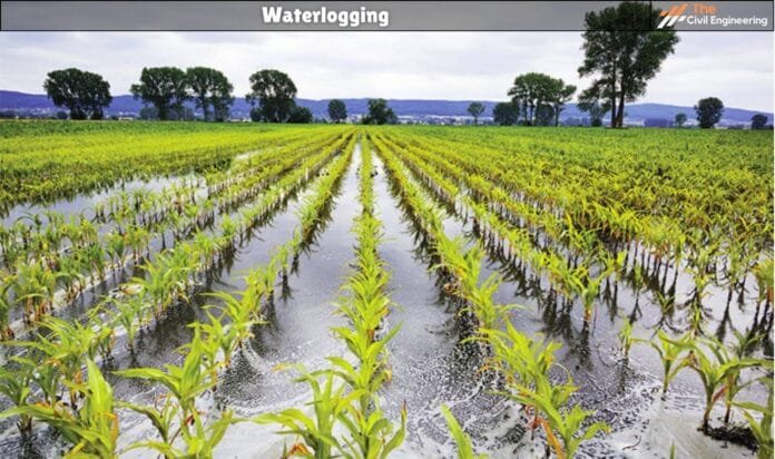 Waterlogging | Causes, Effects, Prevention Measures of Waterlogging