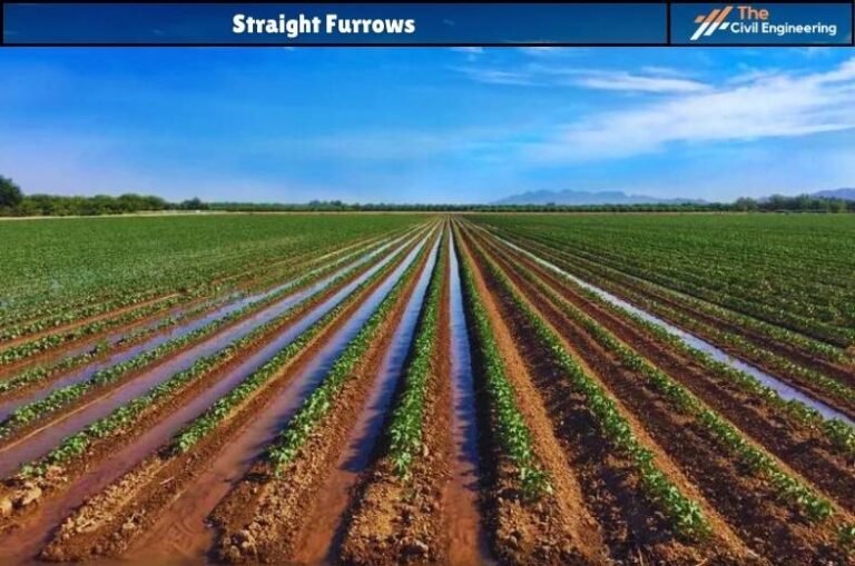 Furrow Irrigation: How to Construct & Maintain Furrow? (Pros & Cons)