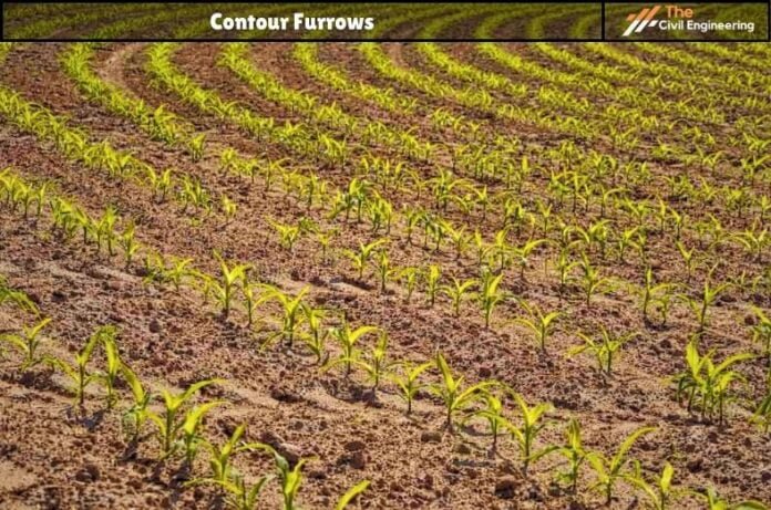 Furrow Irrigation: How to Construct & Maintain Furrow? (Pros & Cons)