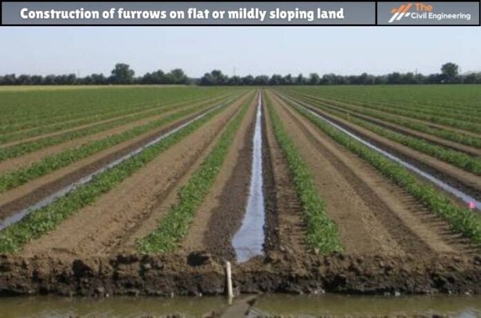 Furrow Irrigation: How to Construct & Maintain Furrow? (Pros & Cons)